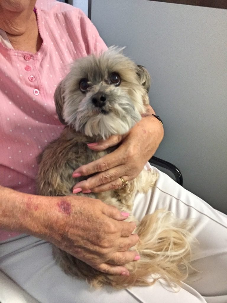 Puppy Love - Humane Society of Pulaski County